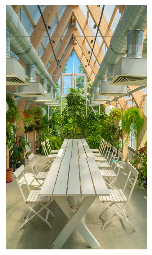 Biophilic design: Τι είναι ο βιοφιλικός σχεδιασμός; - Artline